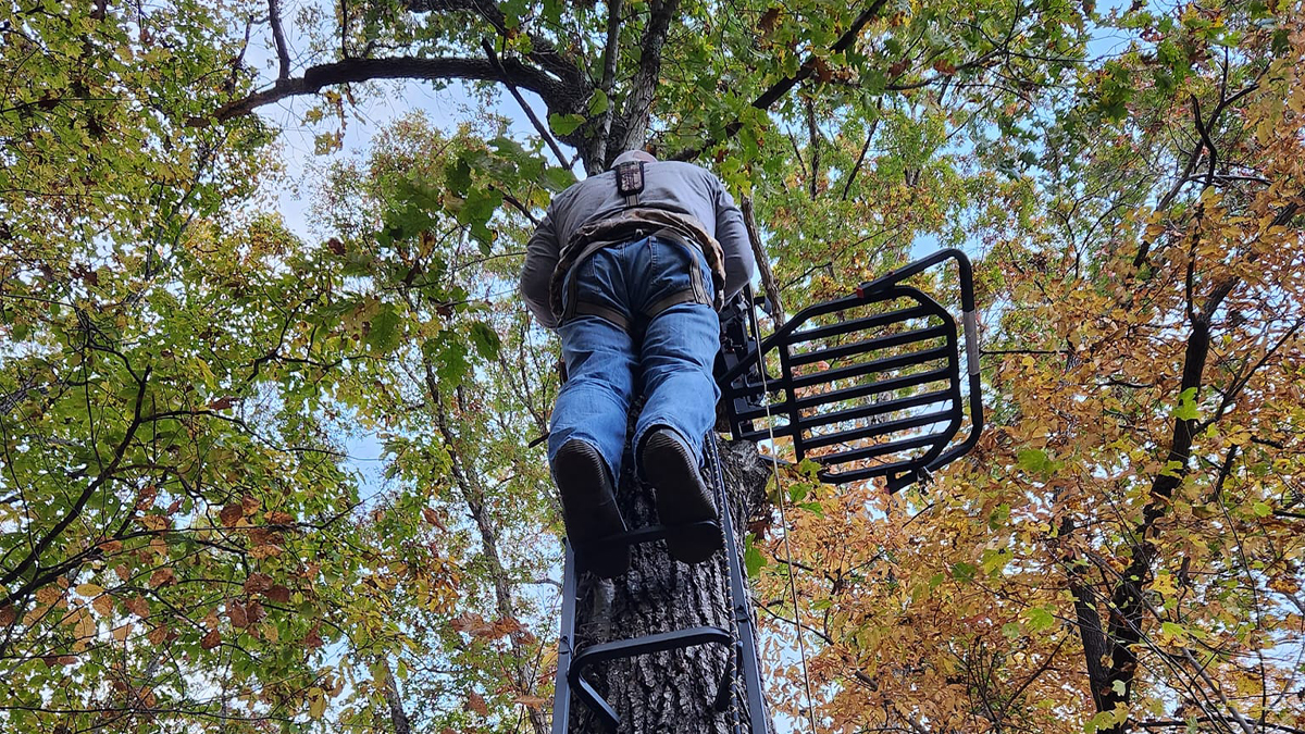 News – Tree Stand Safety Awareness